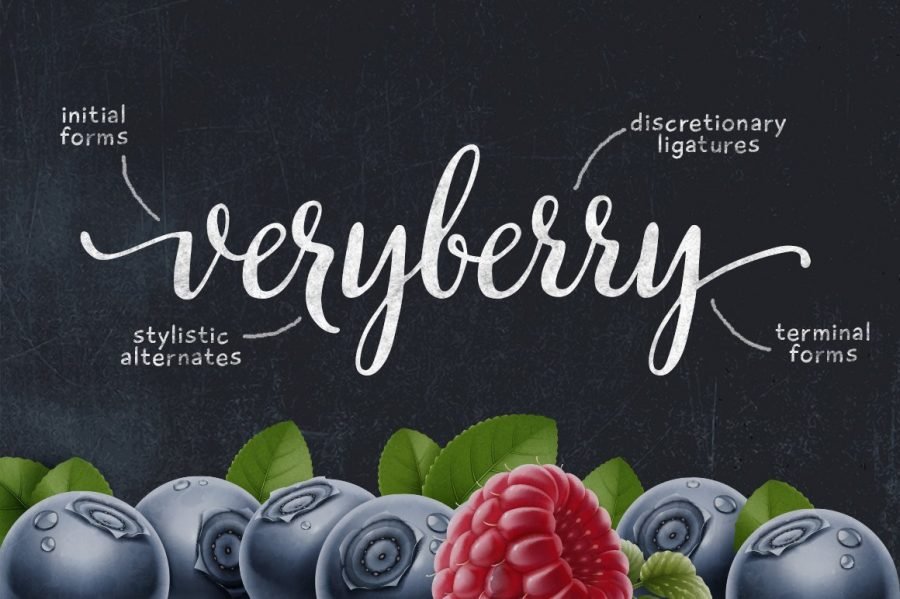 The Top 10 Best Script Fonts - Layerform Magazine