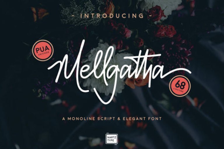 The ULTIMATE LIST of Best Free Fonts (UPDATED) - Layerform