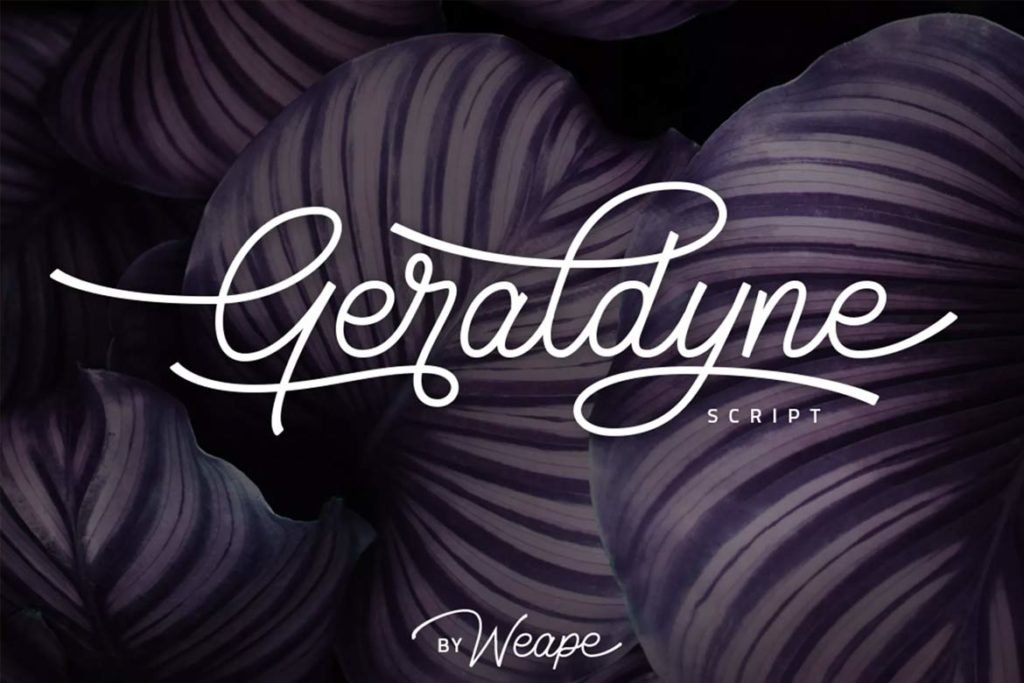 The Best Script Fonts on Envato Elements (2026 UPDATED)