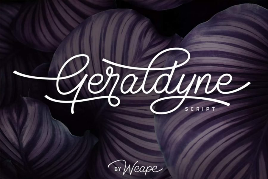 The Best Script Fonts on Envato Elements (2025 UPDATED)