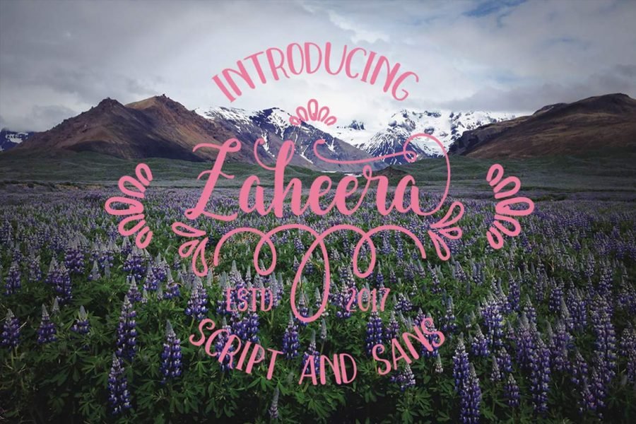 The Best Script Fonts on Envato Elements (2026 UPDATED)
