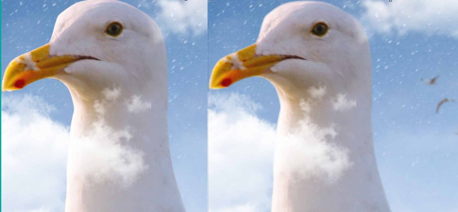 How to Feather in Photoshop (2025 UPDATED) - Layerform